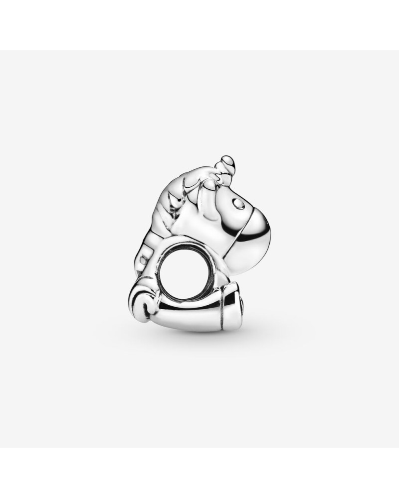 CHARM PANDORA 797609