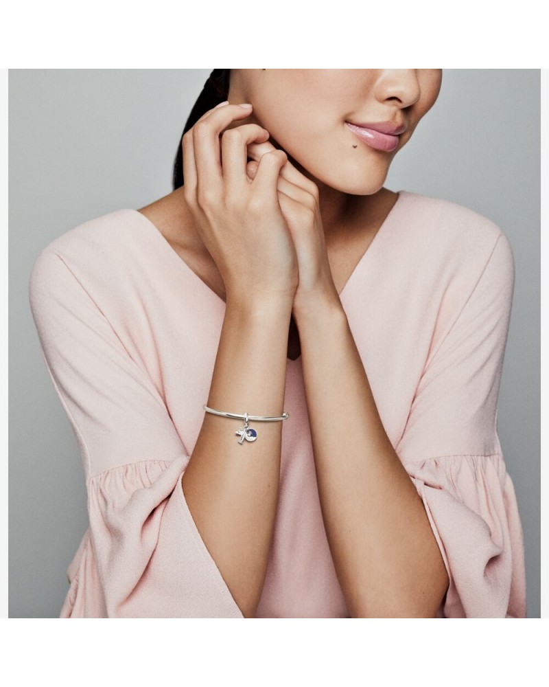 CHARM PANDORA 798027CZ