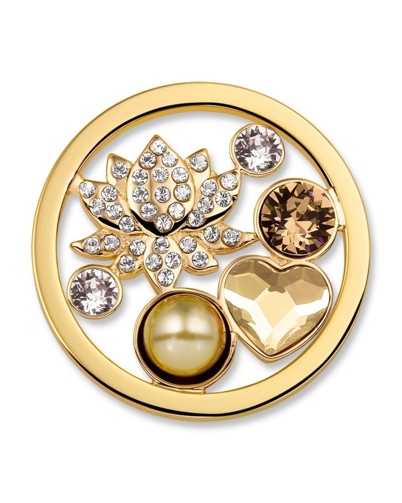 MI MONEDA OFICIAL - Con envío GRATIS